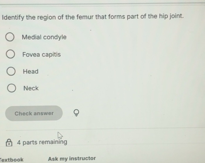 Solved: Identify the region of the femur that forms part of the hip ...