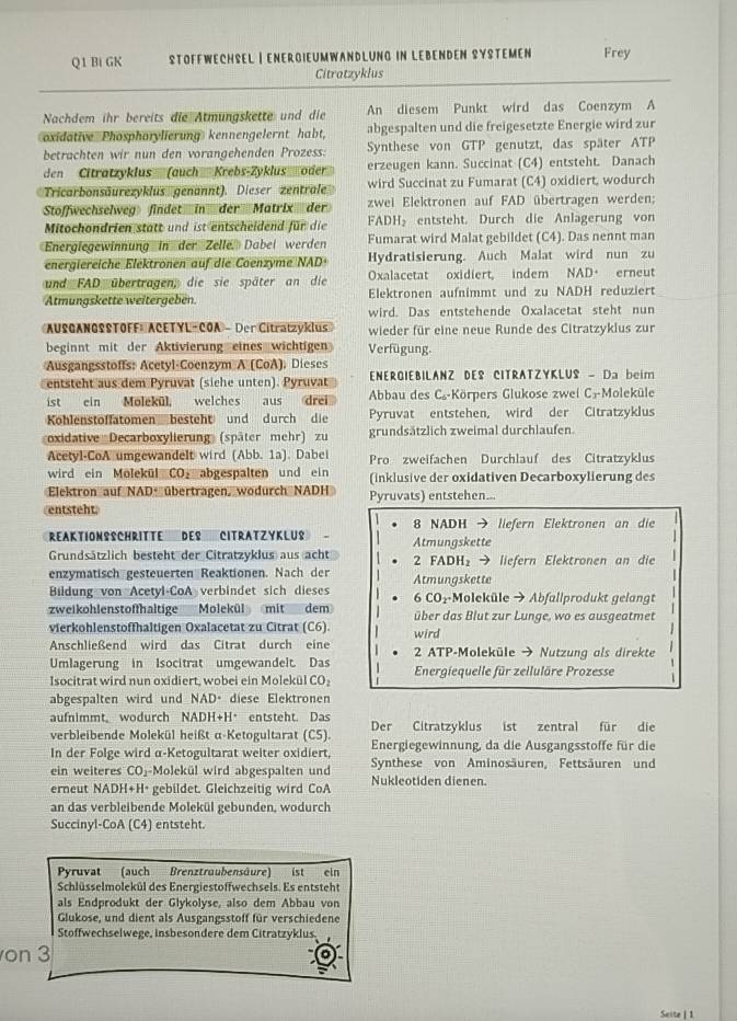Gelöst:Bi GK STOFFWECHSEL | ENERGIEUMWANDLUNG IN LEBENDEN SYSTEMEN Frey ...
