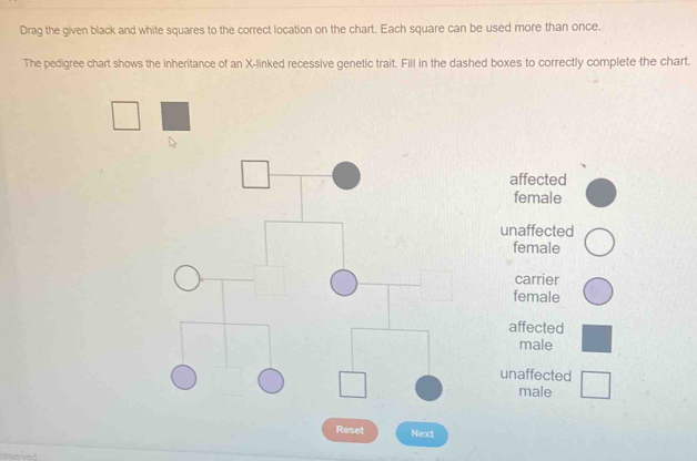 Solved: Drag the given black and white squares to the correct location on the chart. Each square ...