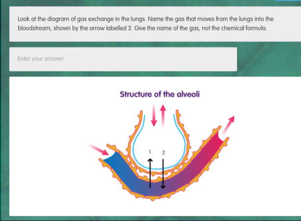 Solved: Look at the diagram of gas exchange in the lungs. Name the gas ...