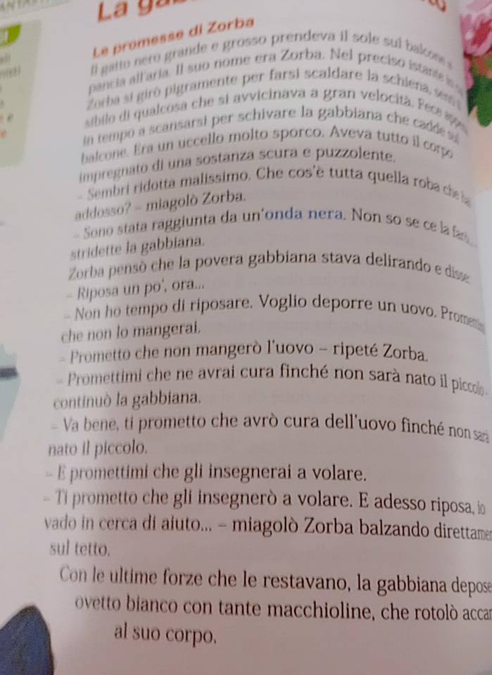 Risolto:Là gà Le promesse di Zorba Il gatto nero grande e grosso ...