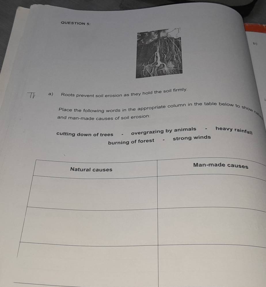 Solved: Roots prevent soil erosion as they hold the soil firmly. Place ...