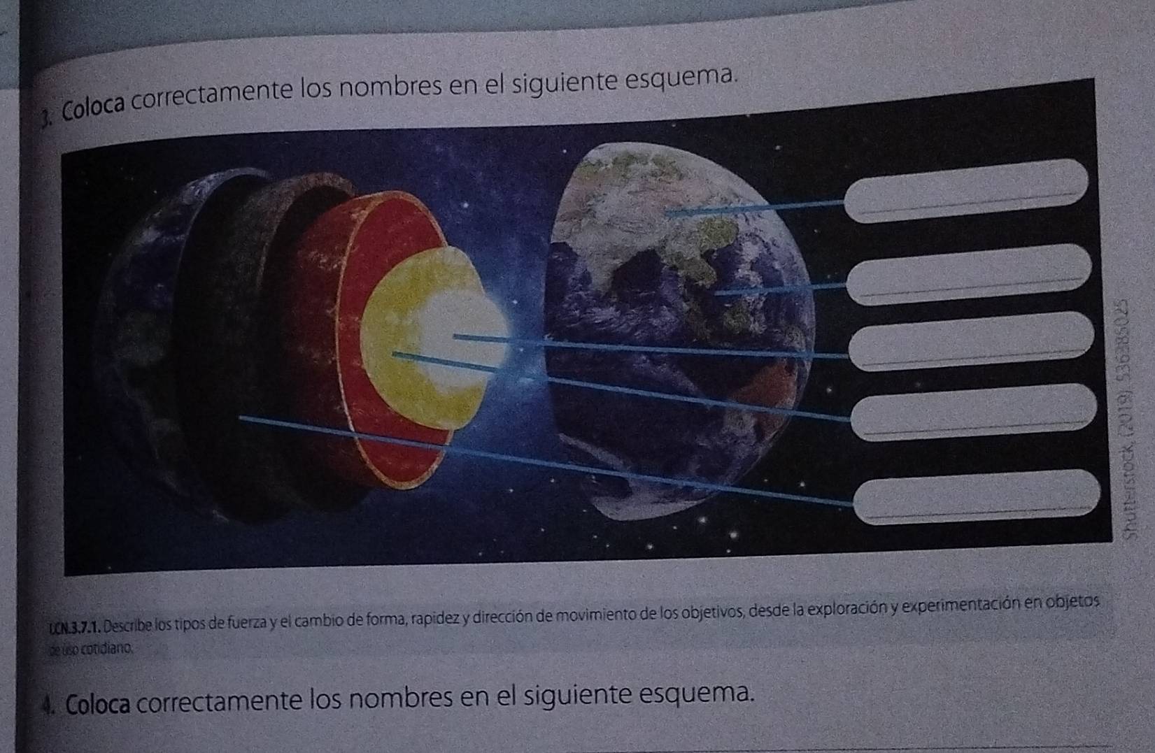 Resuelto:Coloca correctamente los nombres en el siguiente esquema. ICN.3.7.1. Describe los tipos d