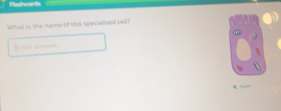 Gelöst:Flashoards What is the name of this specialised cell? a Enter ...