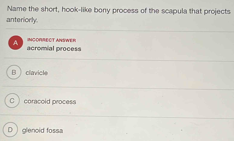 Solved: Name the short, hook-like bony process of the scapula that ...