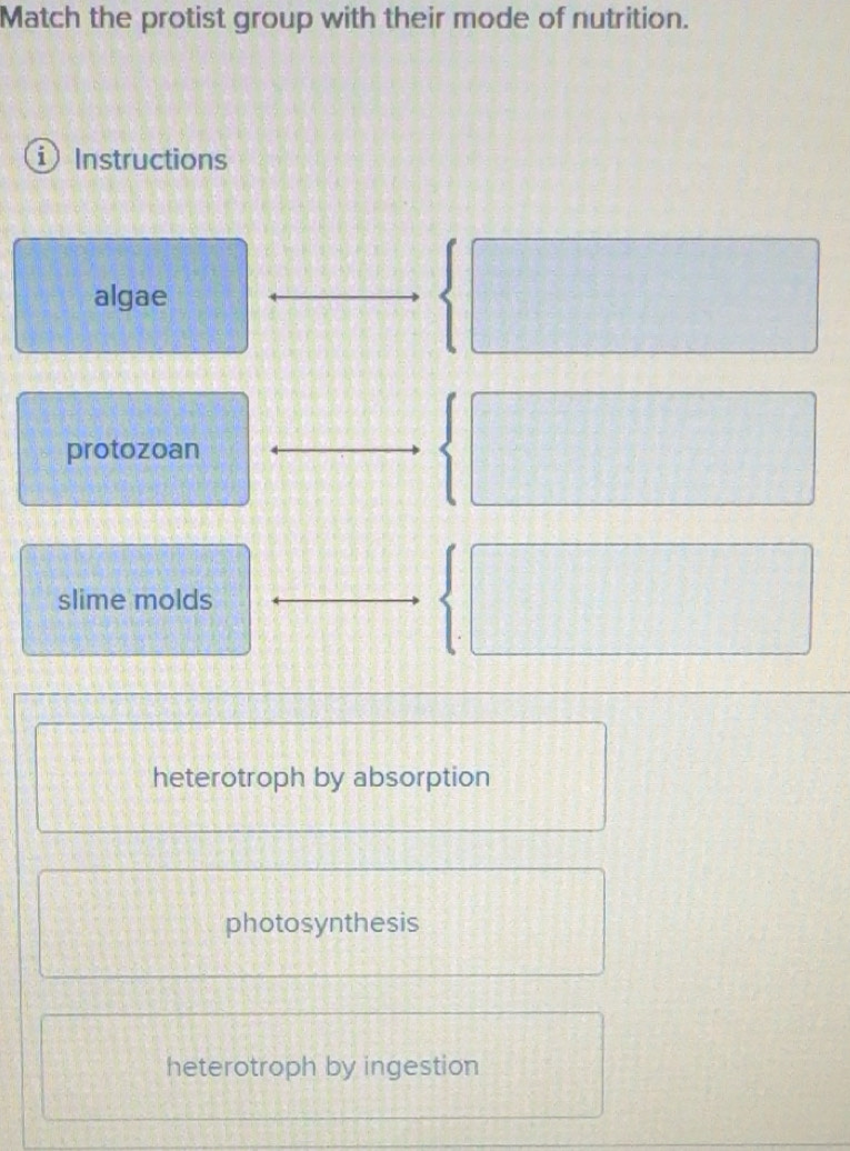 Solved: Match the protist group with their mode of nutrition ...