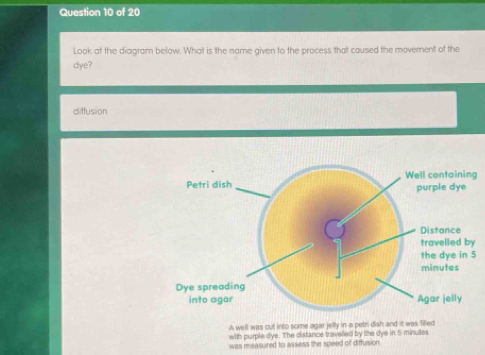 Solved: Look at the diagram below. What is the name given to the ...