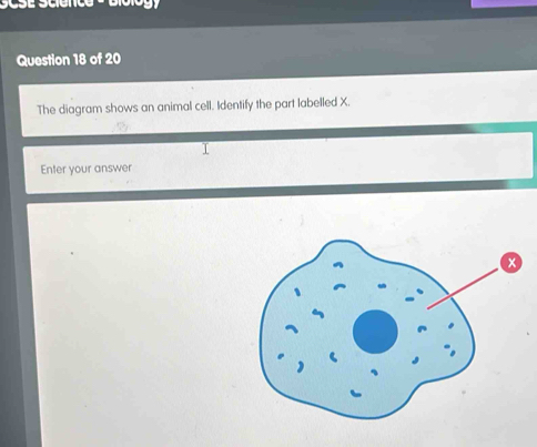 Solved: The diagram shows an animal cell. Identify the part labelled X. Enter your answer [Biology]