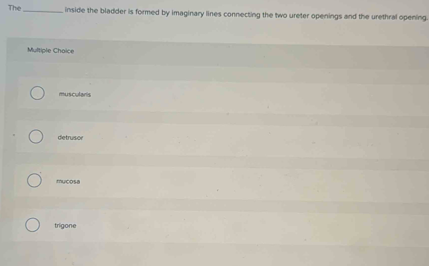 Solved: The_ inside the bladder is formed by imaginary lines connecting ...