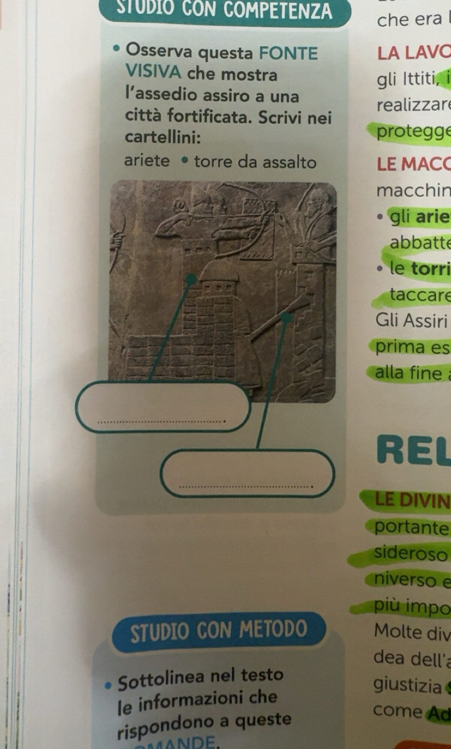 Risolto:STUDIO CON COMPETENZA che era Osserva questa FONTE LA LAVO ...