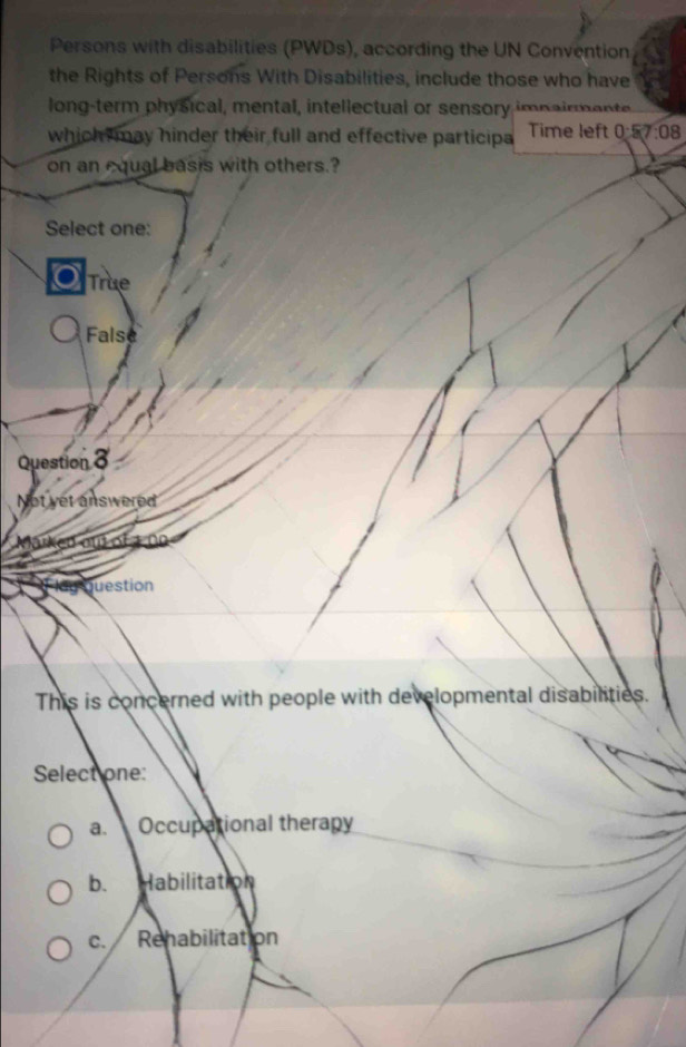 Solved: Persons with disabilities (PWDs), according the UN Convention ...