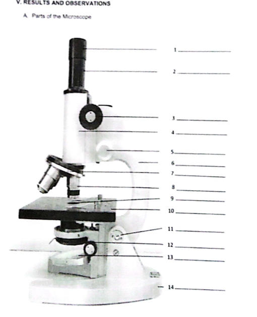 Solved: RéSULTS anD OBsErVationS A Parts of the Microscope _ [Biology]