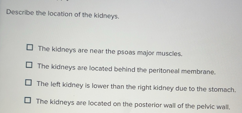 Solved: Describe the location of the kidneys. The kidneys are near the ...