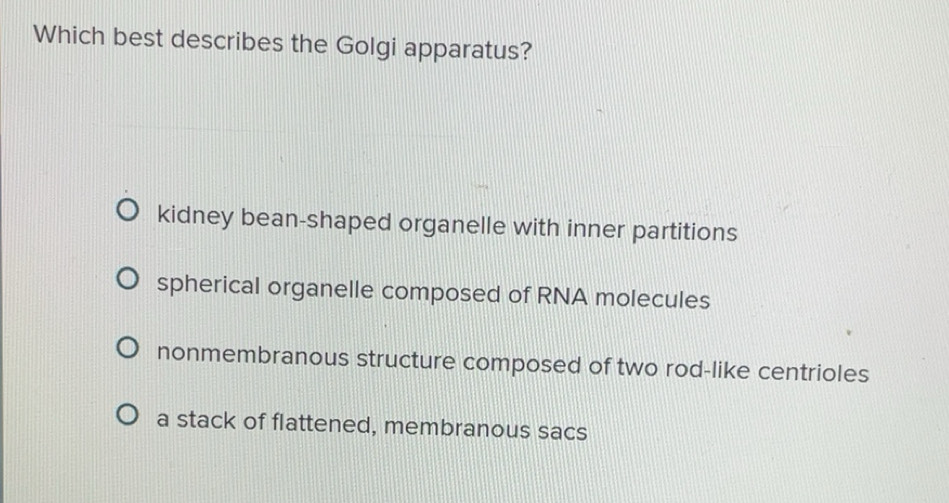 Solved: Which best describes the Golgi apparatus? kidney bean-shaped ...