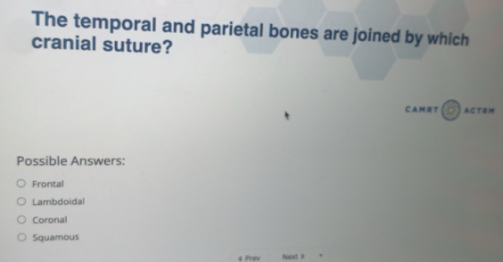 Solved: The temporal and parietal bones are joined by which cranial ...