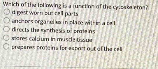 Solved: Which of the following is a function of the cytoskeleton ...
