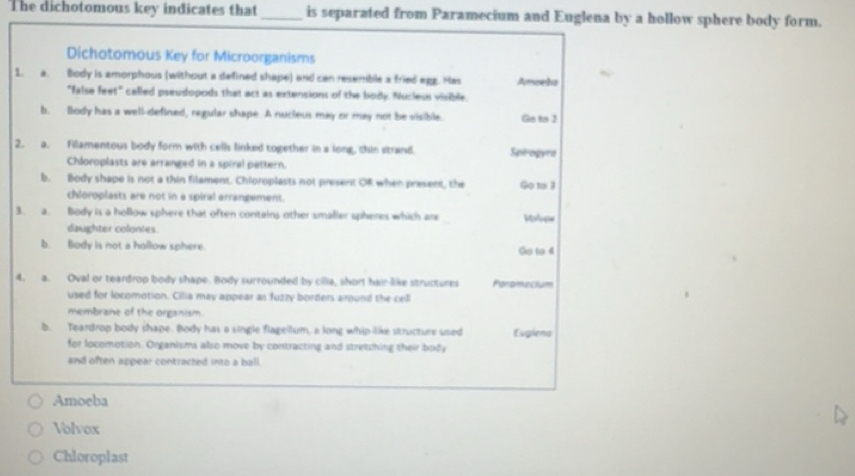 Solved: The dichotomous key indicates that _is separated from ...