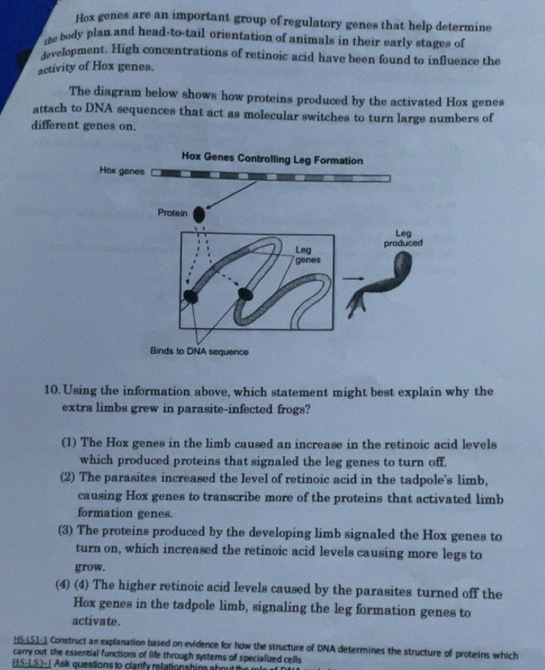Solved: Hox genes are an important group of regulatory genes that help ...
