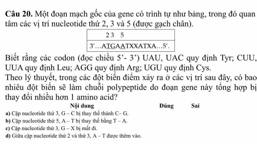 Giải quyết:Một đoạn mạch gốc của gene có trình tự như bảng, trong đó ...