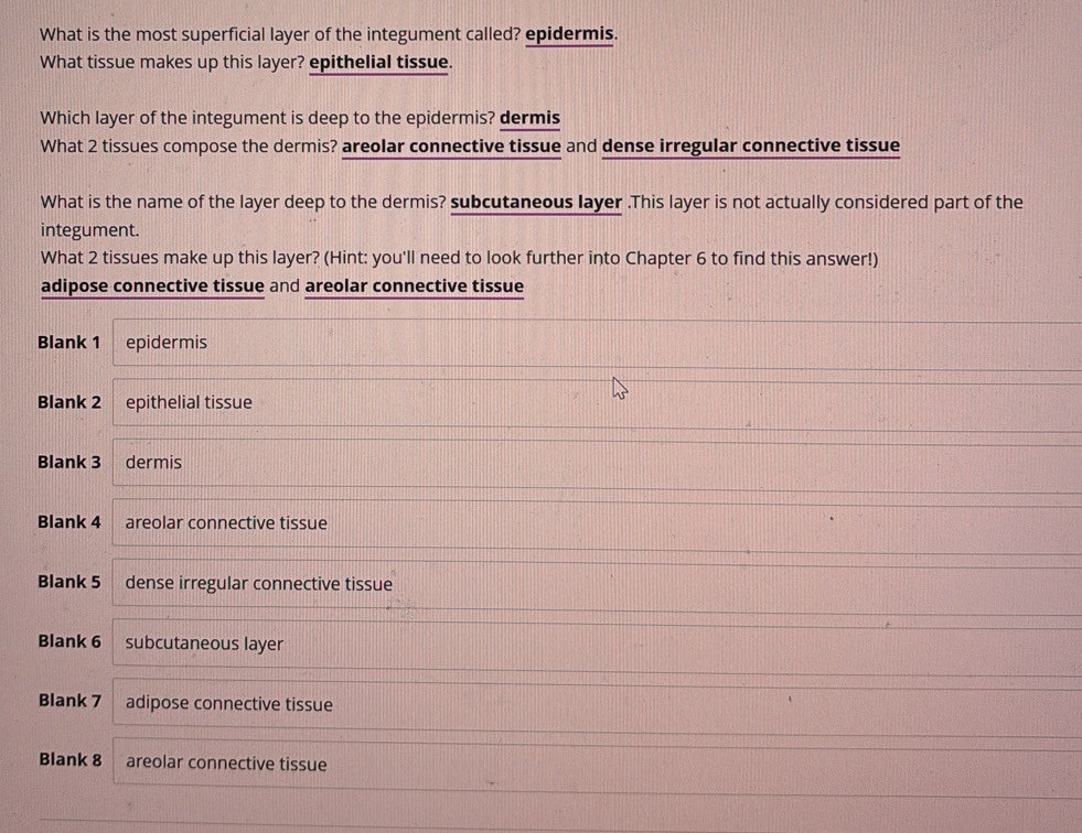 Solved: What is the most superficial layer of the integument called ...