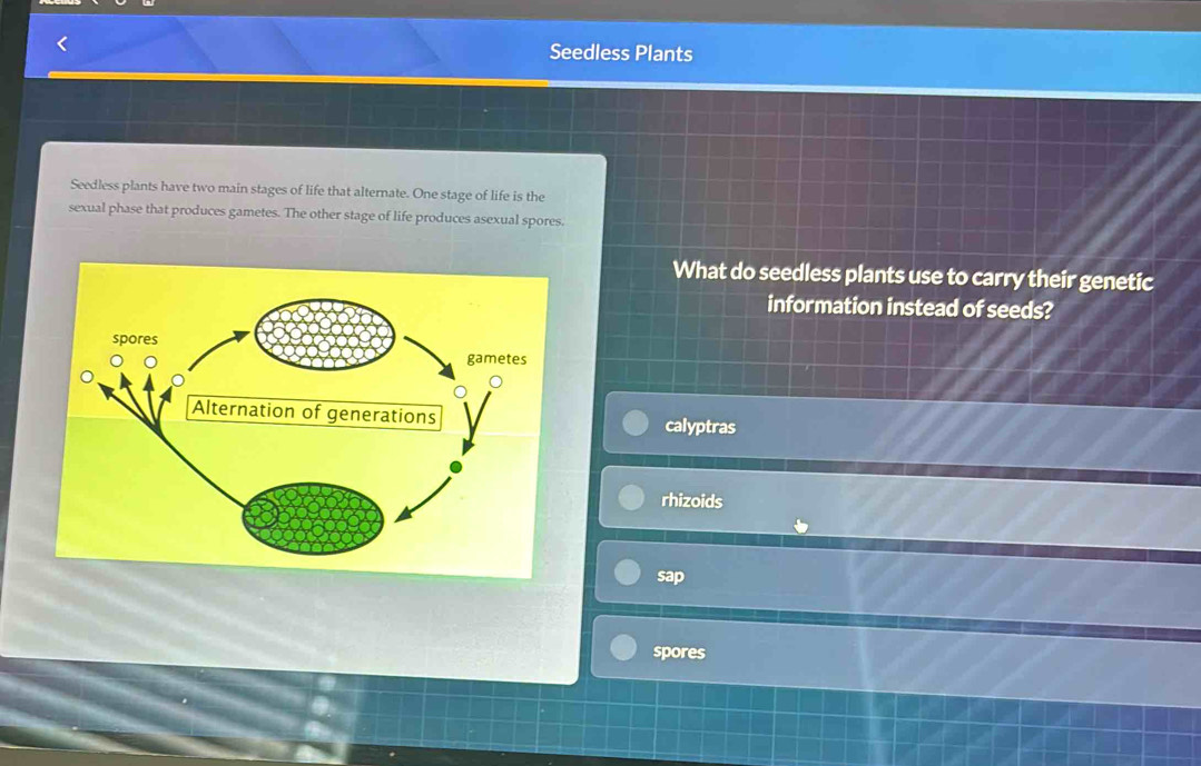 Solved: Seedless Plants Seedless plants have two main stages of life ...