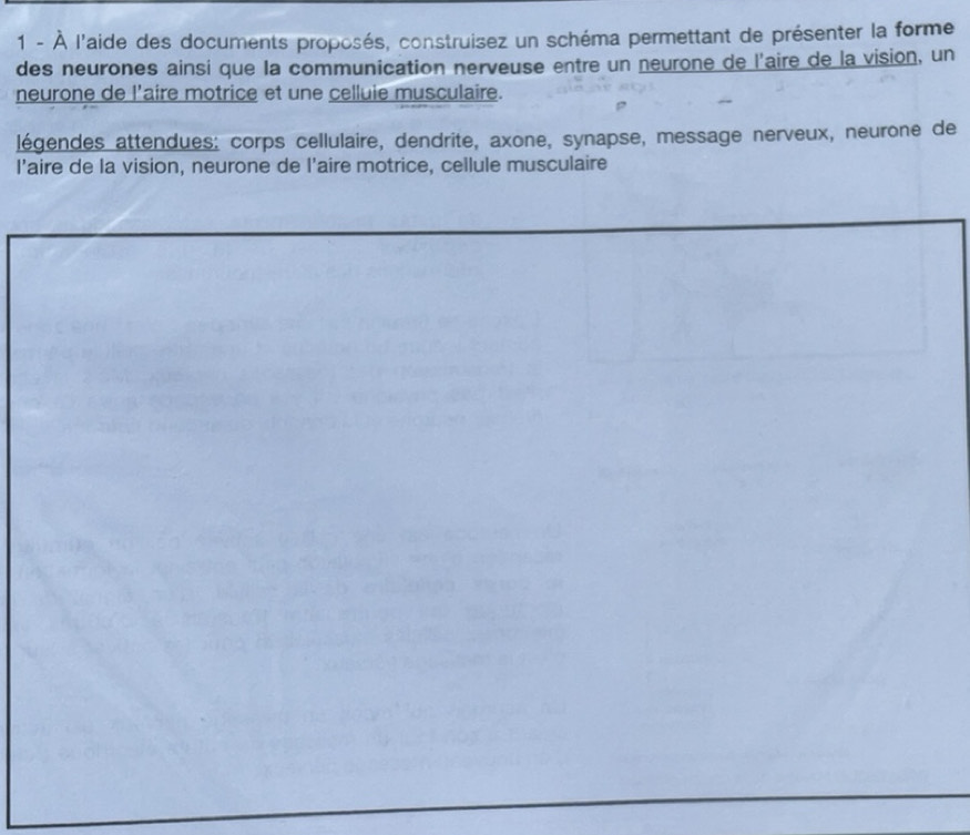Résolu :1 - À l'aide des documents proposés, construisez un schéma permettant de présenter la form