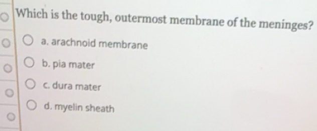 Solved: Which is the tough, outermost membrane of the meninges? a ...