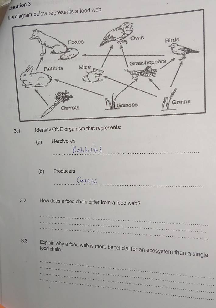 Résolu :The diagram below represents a food web. 3.1 Identify ONE organism that represents: (a)