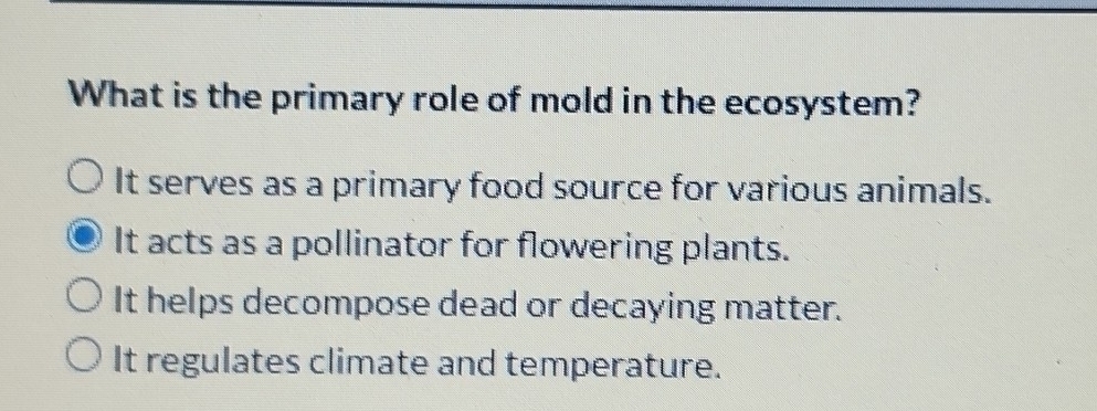 Solved: What is the primary role of mold in the ecosystem? It serves as ...