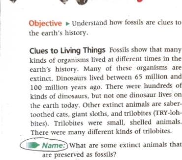 Solved: Objective Understand how fossils are clues to the earth's ...