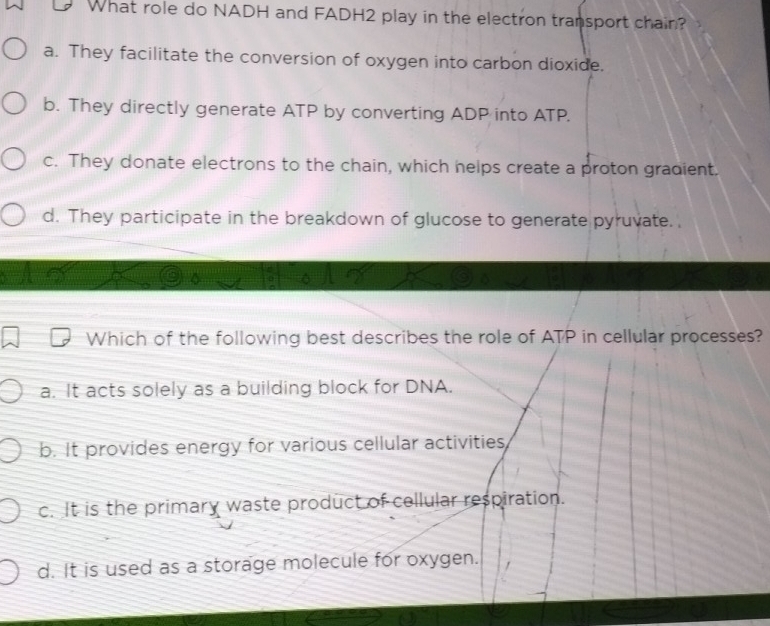 Solved: What role do NADH and FADH2 play in the electron transport chain? a. They facilitate the ...