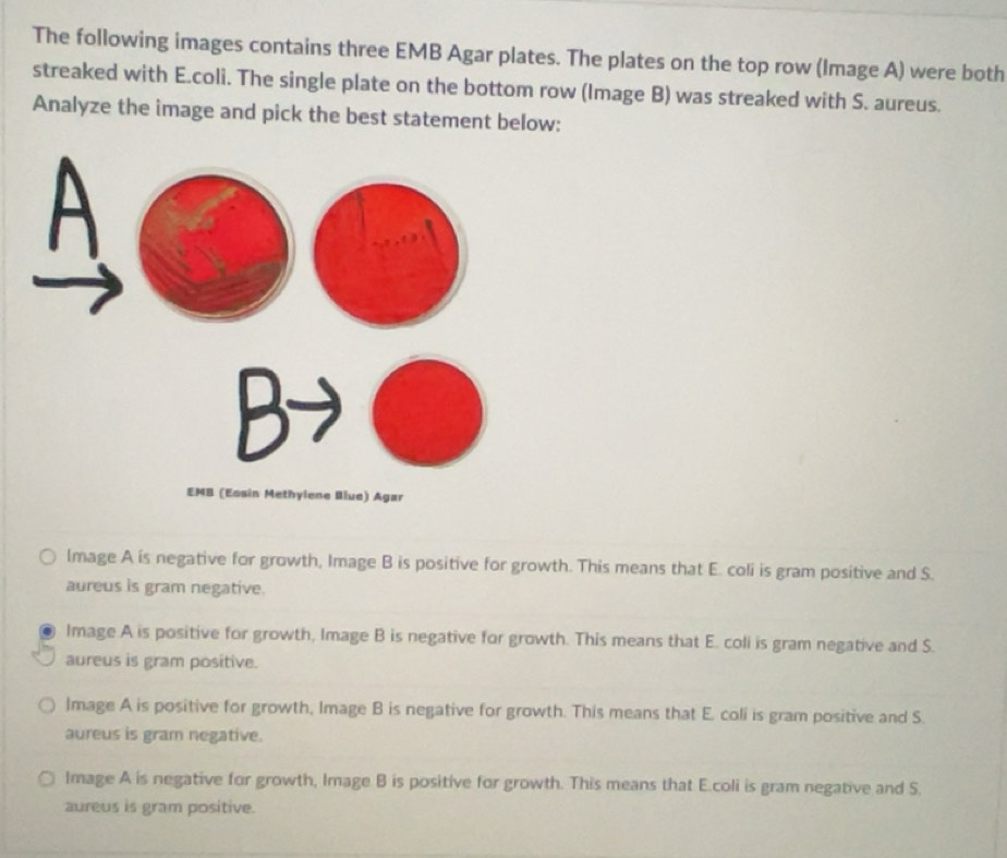Solved: The following images contains three EMB Agar plates. The plates ...