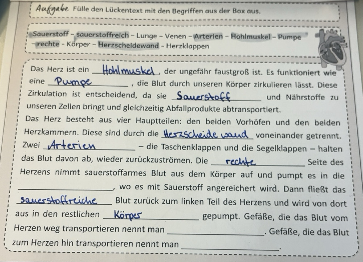 Gelöst:Aufgabe Fülle den Lückentext mit den Begriffen aus der Box aus ...