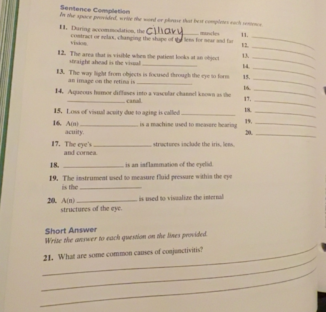 Solved: Sentence Completion In the space provided, write the word or ...
