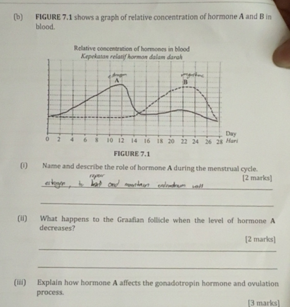 Selesai:FIGURE 7.1 shows a graph of relative concentration of hormone A ...