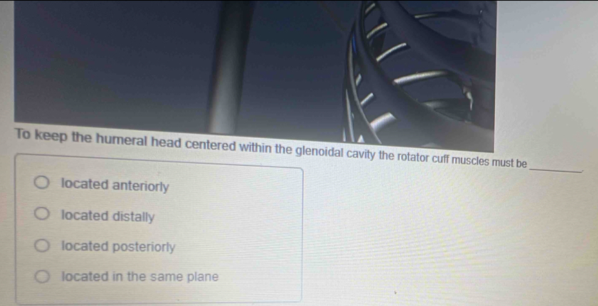 Solved: To keep the humeral head centered within the glenoidal cavity ...