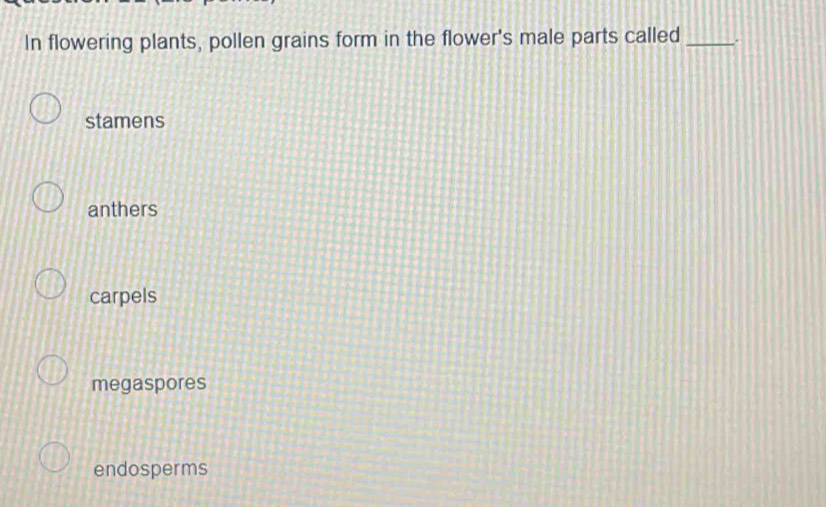 Solved: In flowering plants, pollen grains form in the flower's male ...