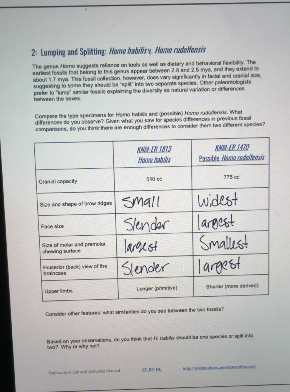Solved: 2: Lumping and Splitting: Homo habilis . Homo rudolfensis The ...