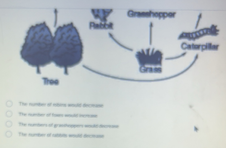 Gelöst:Thie rsrtios dece The nu The num The number ot