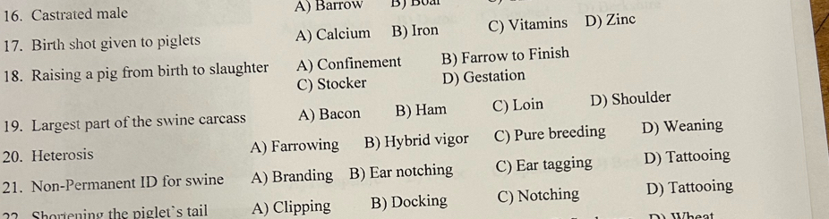 Solved: Castrated male A) Barrow B) Boar 17. Birth shot given to ...