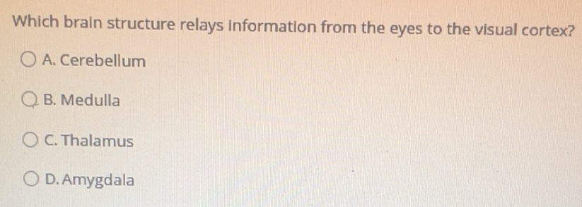 Solved: Which brain structure relays information from the eyes to the ...