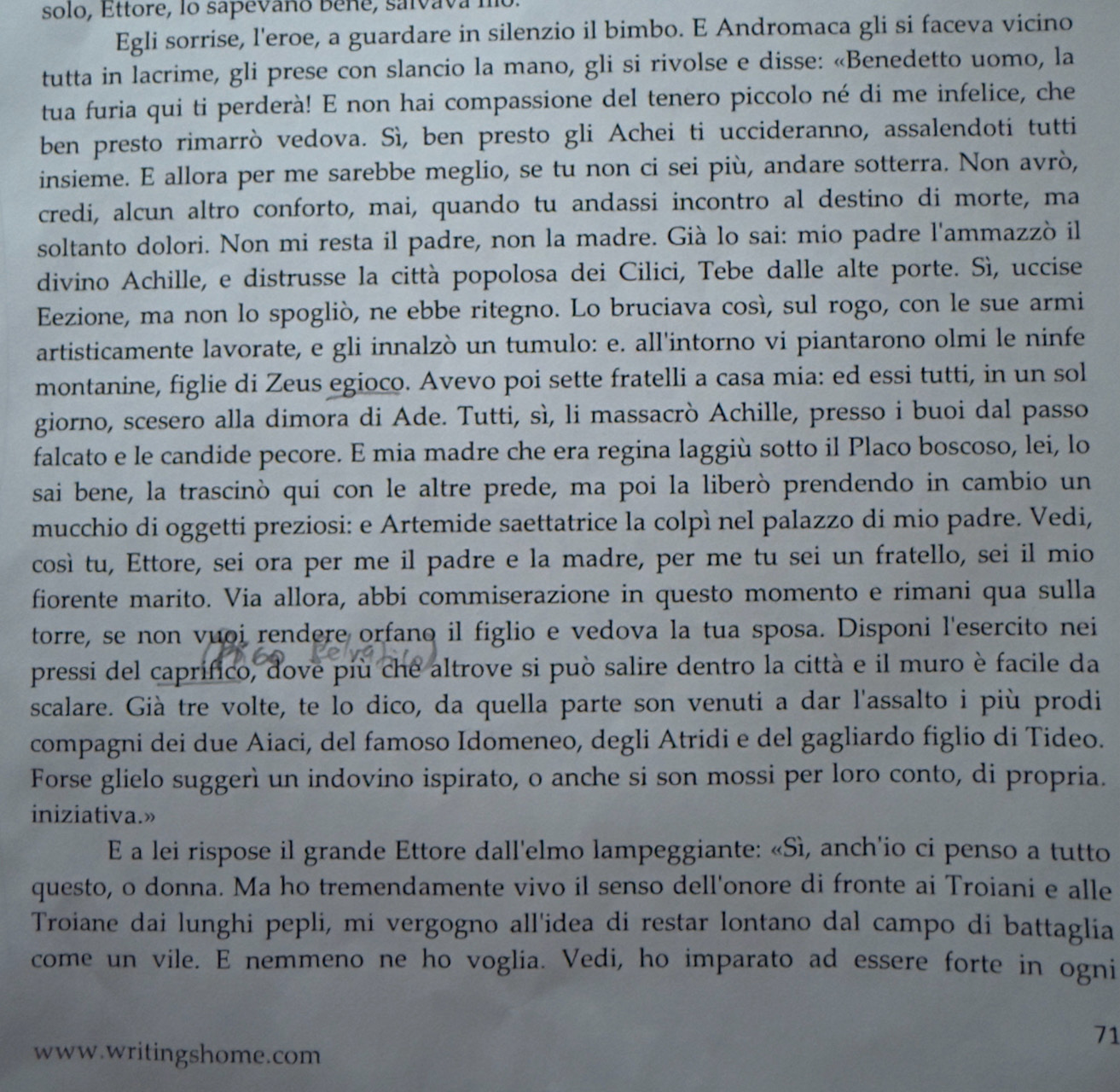 Risolto:solo, Ettore, lo sapevaño bene, salvava mo. Egli sorrise, l ...