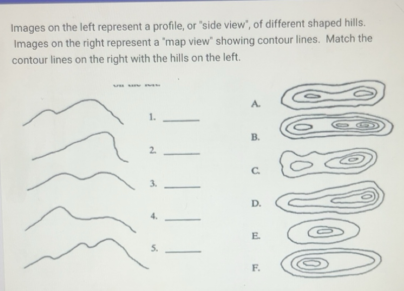 Solved: Images on the left represent a profile, or "side view", of ...