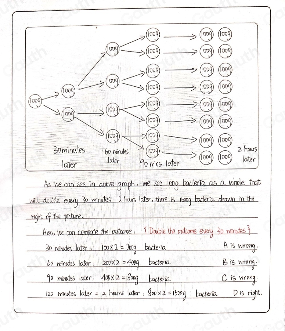 Solved: A certain bacteria double every 30 minutes. If there are 100g ...