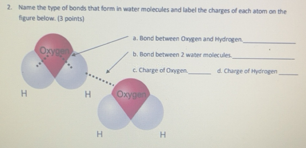 Solved: Name the type of bonds that form in water molecules and label ...