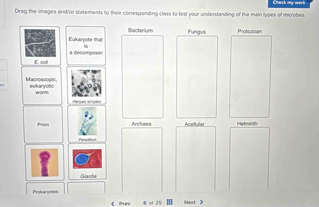 Solved: Check my work Drag the images and/or statements to their ...
