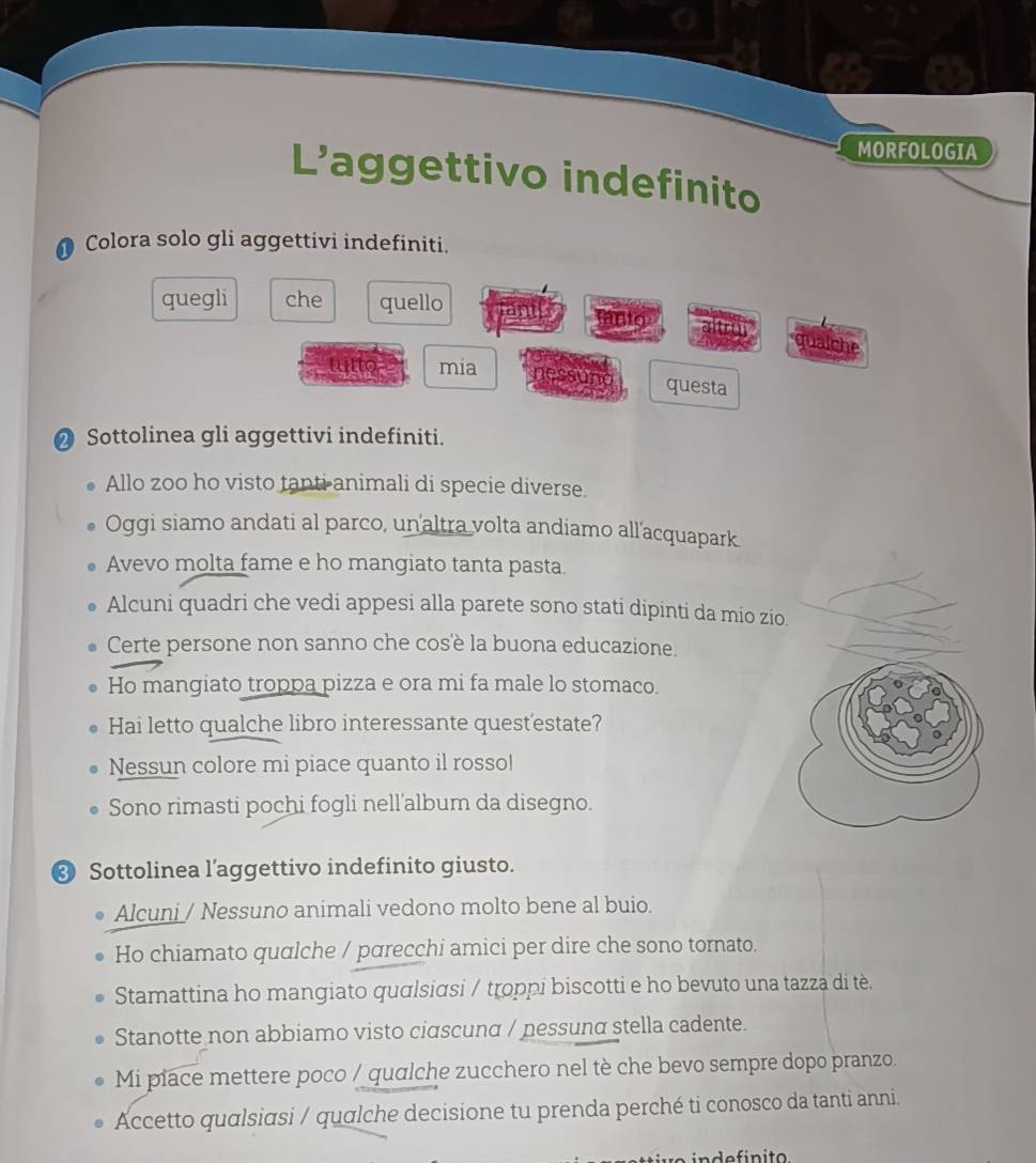 Risolto:MORFOLOGIA L'aggettivo indefinito Colora solo gli aggettivi ...