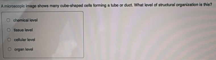 Solved: A microscopic image shows many cube-shaped cells forming a tube ...