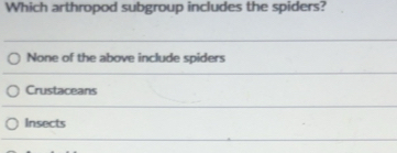 Solved: Which arthropod subgroup includes the spiders? None of the ...