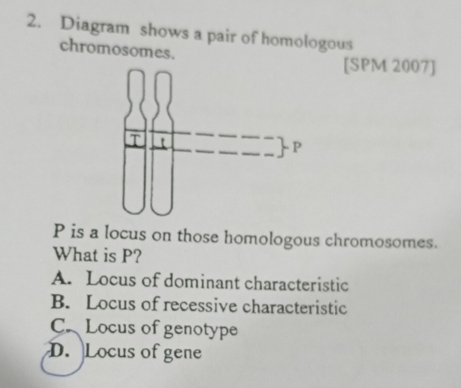 Selesai:Diagram shows a pair of homologous chromosomes. [SPM 2007] P is ...